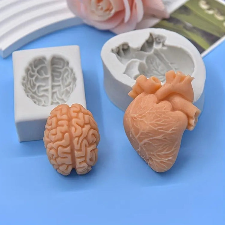 Human Heart and Brain - Silicone Mold – itacakes.com